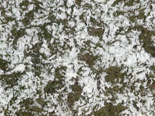 frozen ground texture 0023 - Texturelib